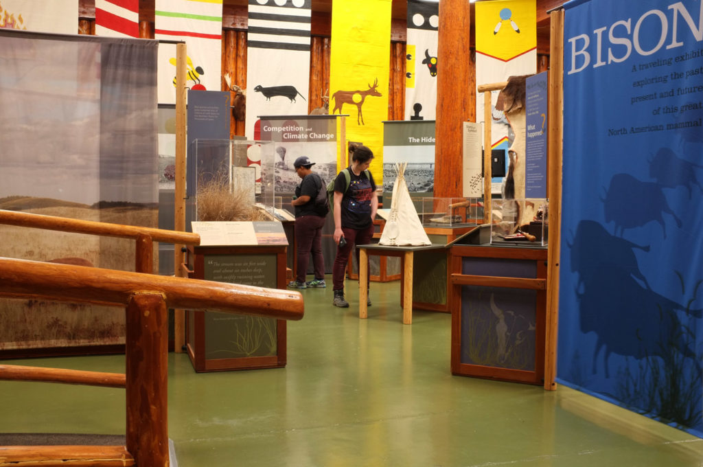 Buffalo Nations Luxton Museum - Bison Exhibit