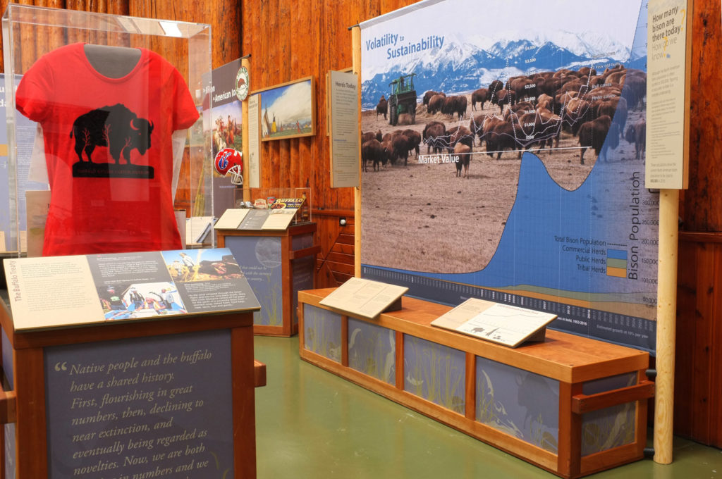 Buffalo Nations Luxton Museum - Bison Exhibit